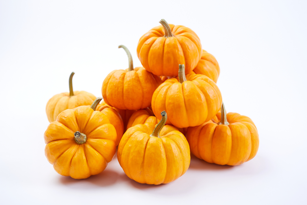 Sohati - هل كنت تعرفين أن القرع له كل هذه الفوائد؟